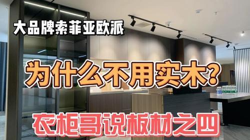 全屋定制水太深!大品牌索菲亚欧派不需要实木做衣柜,用不起吗?