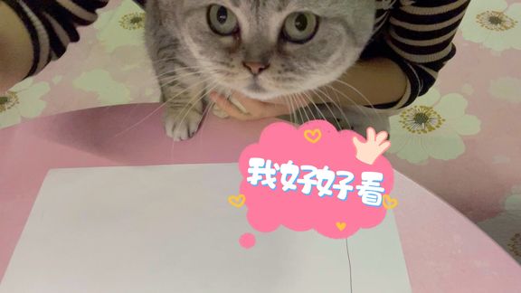 喵喵学习固定资产的确认和计量