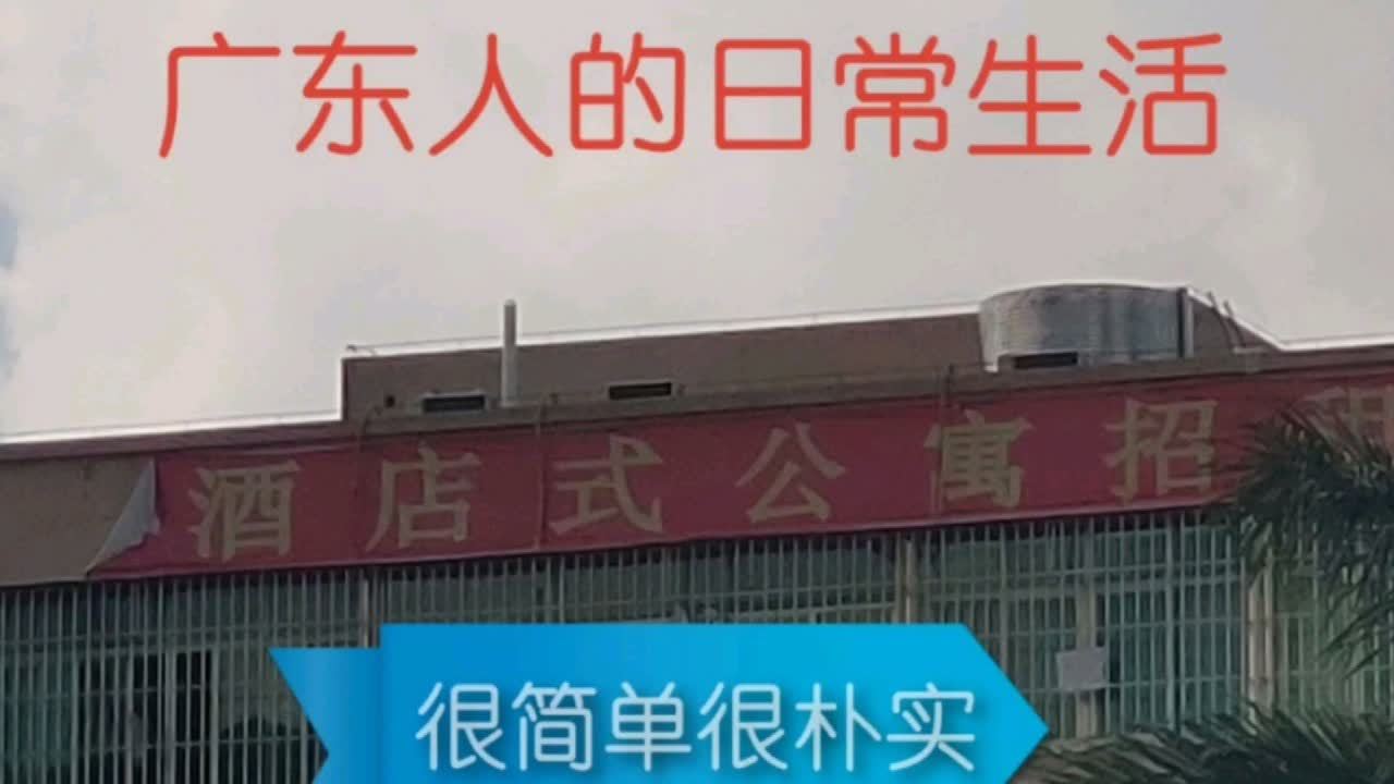 广东人的幸福指数在国内首屈一指,看完这个视频,全都明白了