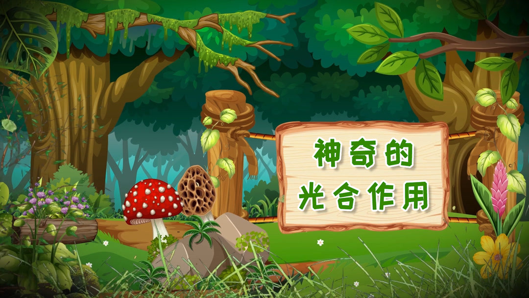 【第五季植物】第六节 神奇的光合作用 中文版