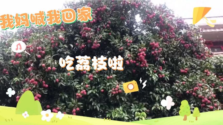 我妈喊我回家吃荔枝啦!有一起的吗?