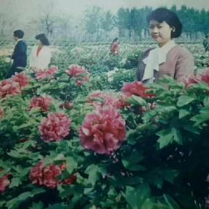 左右两岸 