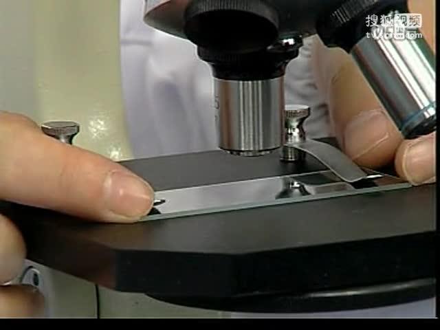 【翰林轩 优+学案系列 精彩推荐】练习使用显微镜