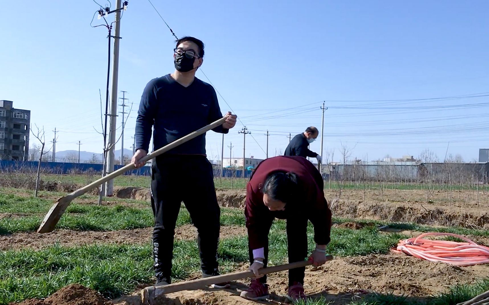 农村果农巨资购买小核桃树苗,一亩地赔了6000元,我的经验是教训