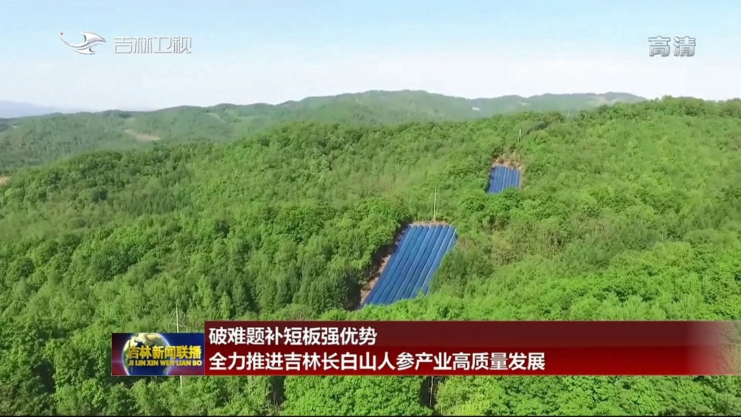   破难题补短板强优势 全力推进吉林长白山人参产业高质量发展