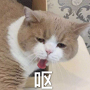 神经兮兮的酱汁 