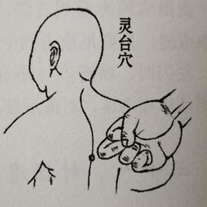 每天进步佰分之壹 