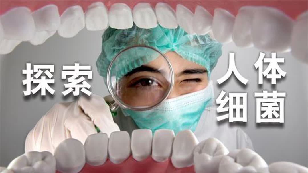 人体细菌最多的部位:显微镜下1500倍探索