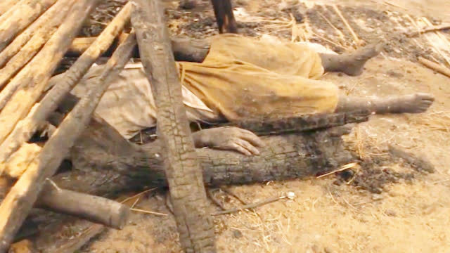 致死率百分百的病毒袭击村子,为了阻止病毒传播