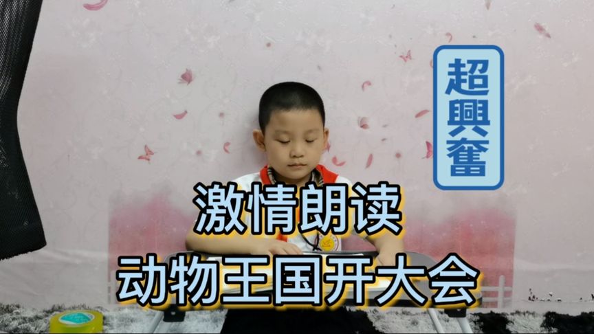 西瓜小政激情朗读动物王国开大会,声情并茂,不输专业演员!