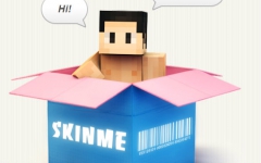 《黄条纹肥猫》 MC非正版 联网/单机 皮肤使用器使用方法及介绍