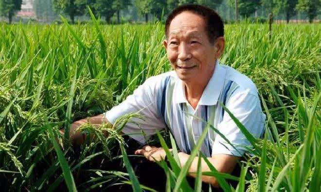 顶尖科学家数量统计,美国630名,日本295名,有趣的是中国的人数