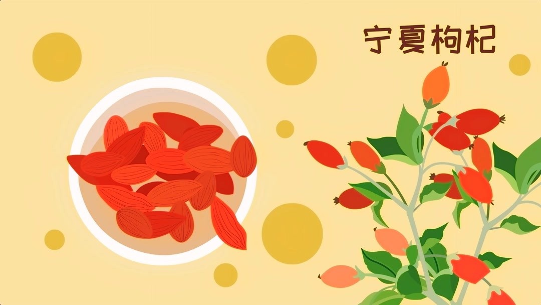 枸杞是什么,枸杞的功效有哪些?