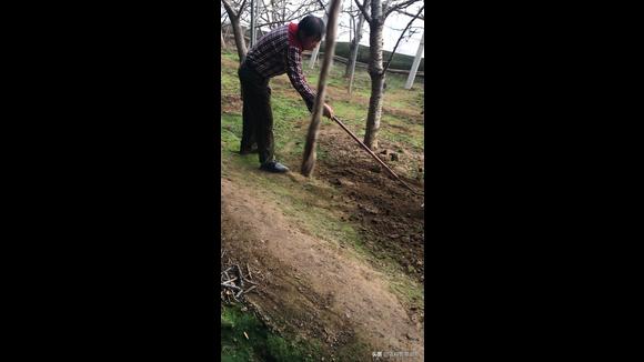 这个动作叫划锄,它的作用你明白吗?