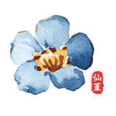 仙堇美术在线 