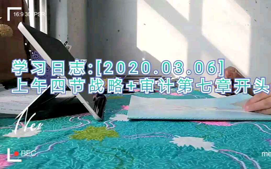 学习日志[2020.03.06]:战略+审计