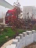 模块建房——厂家发货现场直拍
