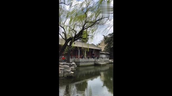 带你去看大学校园,水木清华的景色,美得像一幅画