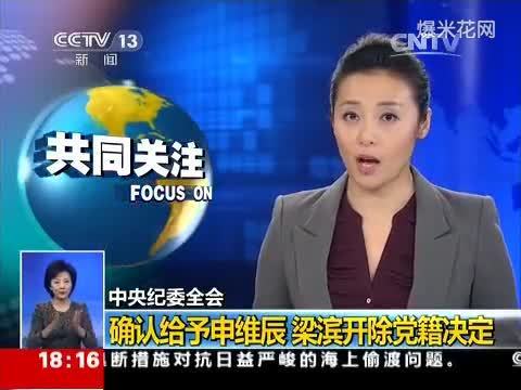 中央纪委全会:确认给予申维辰 梁滨开除党籍决定