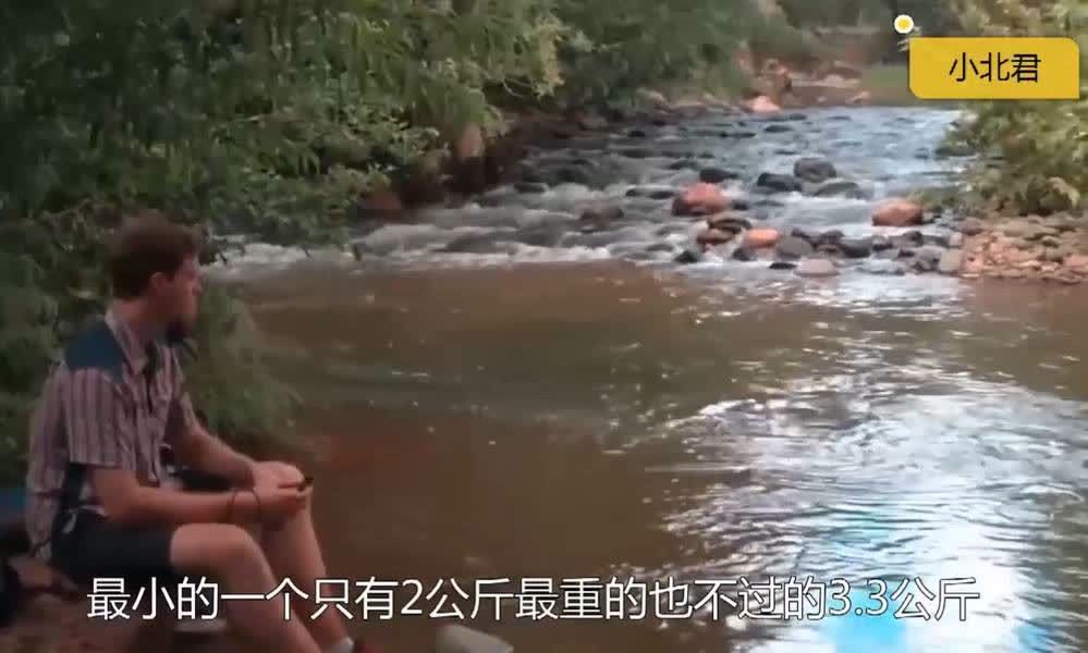 黑科技的神奇,自行车变电动车,科技真是神奇