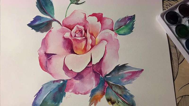 水彩教程:手把手教你如何画朵好看的玫瑰
