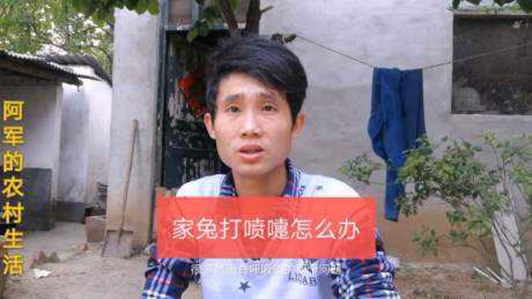 家兔打喷嚏和呼吸道问题怎么预防,下面几点告诉大家,要提前预防