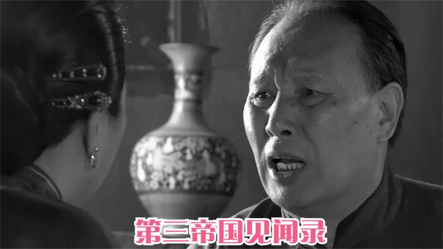 第二次世界大战纪实:第三帝国见闻录,残存数月的和平