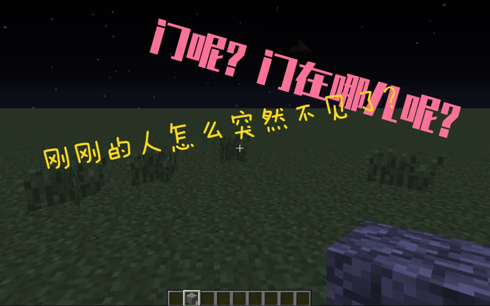 MC平地全隐藏门!门呢?门在哪儿呢?