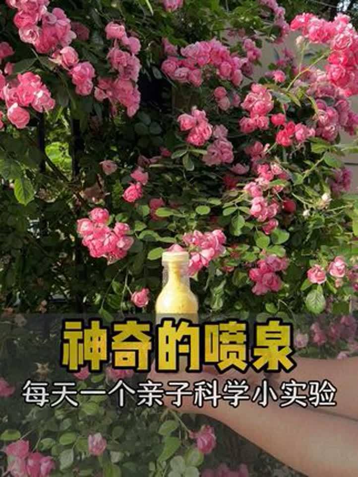 适合带孩子一起做的亲子科学小实验:神奇的喷泉 #科学小实验 #趣味实验 #小实验大道理