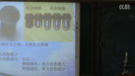 肃宁 窦雪 2013511929 初一 生物 练习使用显微镜