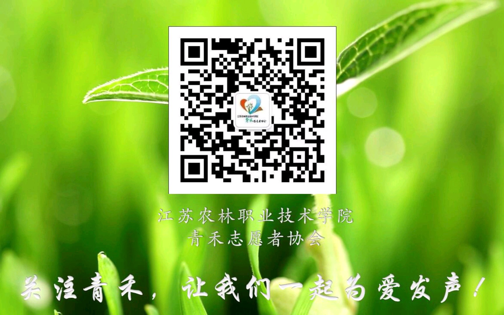 青禾志愿者协会活动展示宣传片