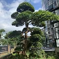 室内设计空间美学 