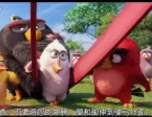 电影《愤怒的小鸟》片段4