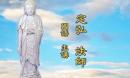 无量寿经—58—定弘法师