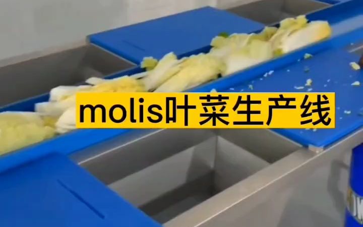 预制菜生产需要哪些设备呢?预制菜加工叶菜生产线