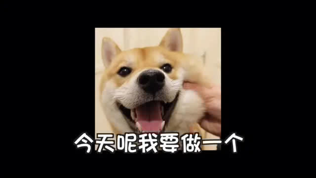 羊毛毡教程一,完整视频在微bo深夜小鱼干儿