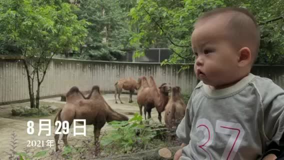 #人类幼崽成长记 #萌娃日常 #第一次去动物园的宝宝