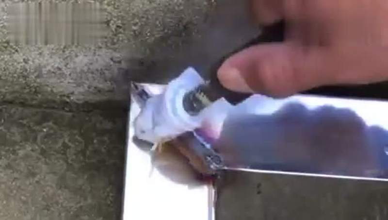 不锈钢氩弧焊焊零基础教学视频