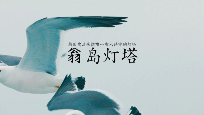 韩国唯一有人全年无休值守的灯塔,真人真事翻拍成电影票房千万!