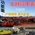 关关股份 