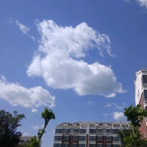 管理软件定制开发 