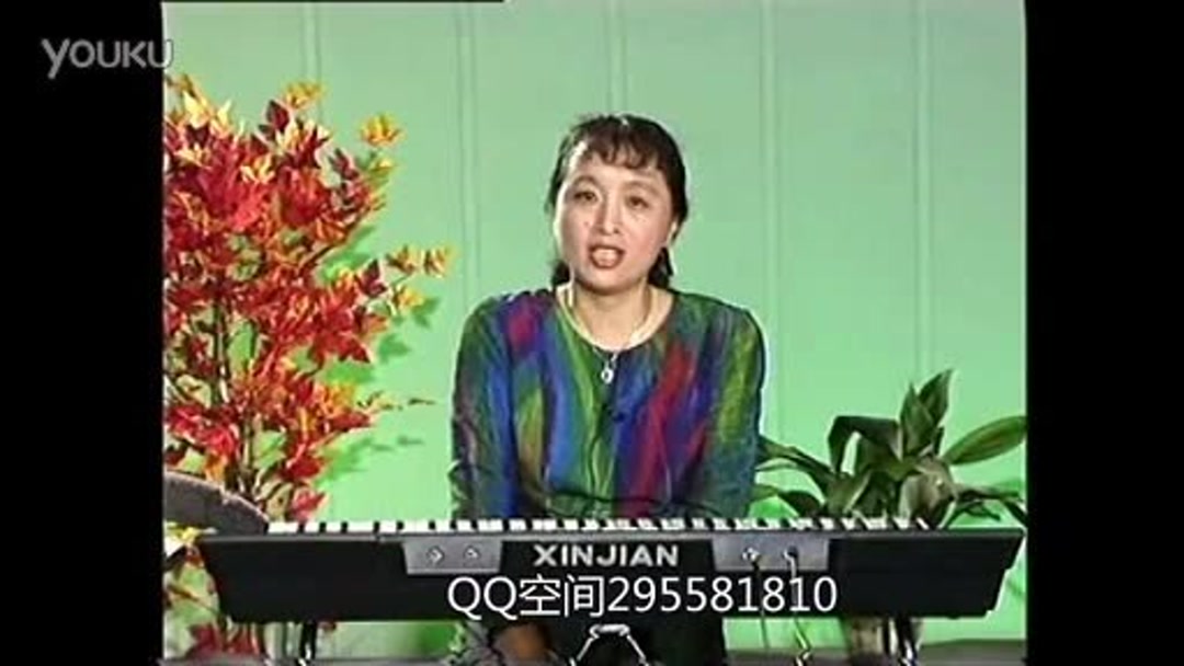 电子琴指法 老年人学电子琴视频