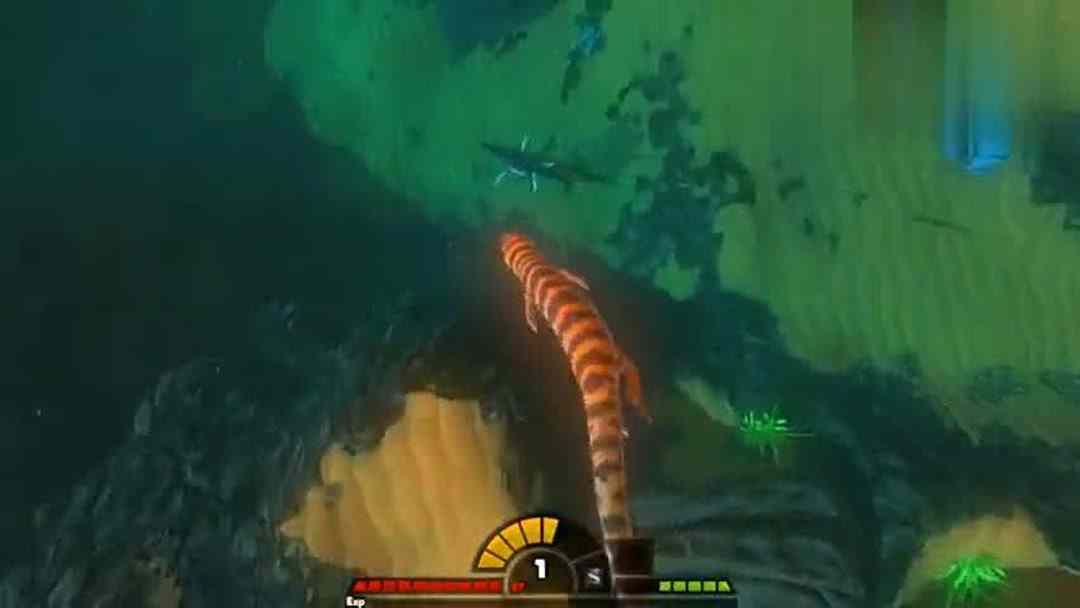 海底大猎杀鱼类看够了两栖爬行动物要不要了解一下呢