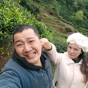 好的川茶哥 