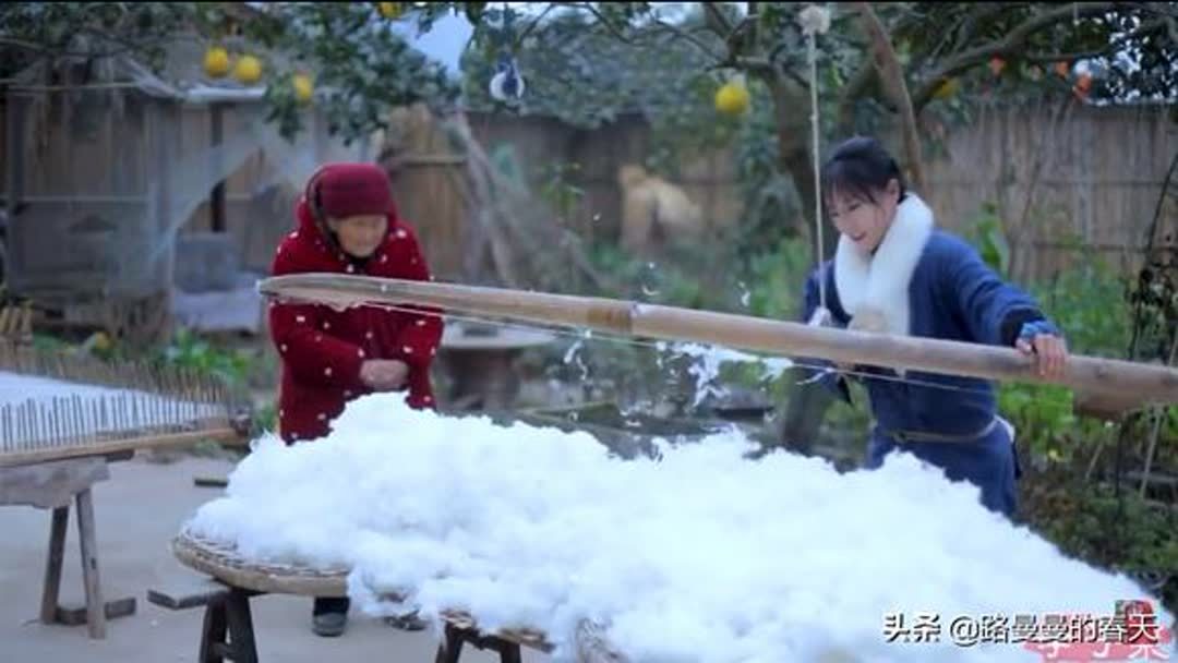 棉花的一生,看看李子柒带来不一样的精彩故事!