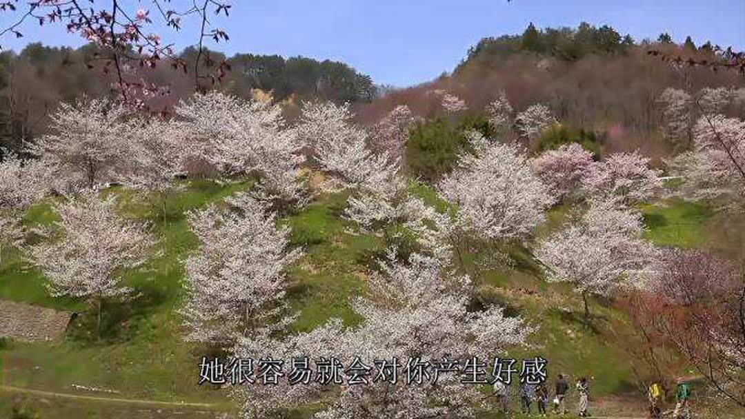 微信中有这几个特征的女人,很容易追到手