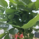 亮仔影视剧 