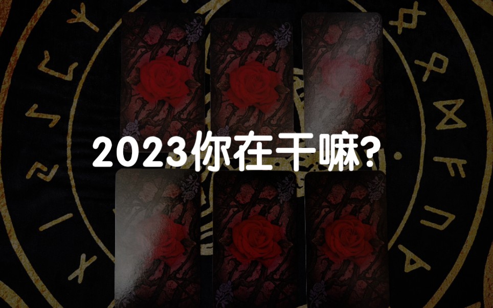 【龙女塔罗】2023你在干嘛?