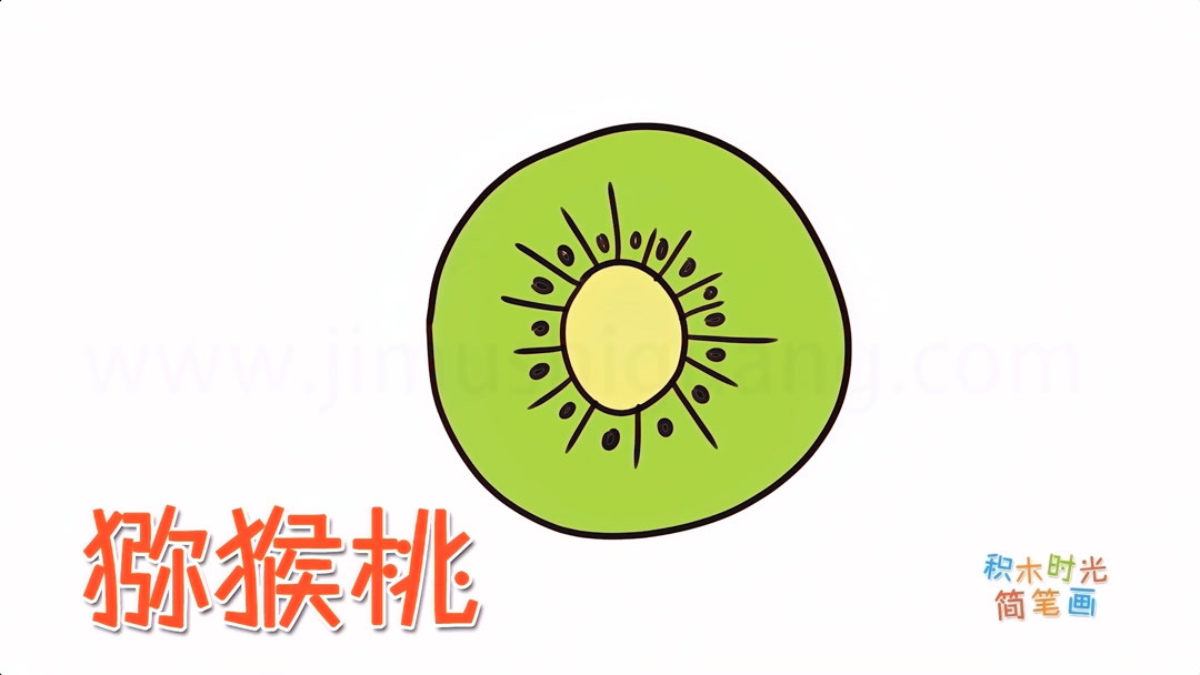 水果简笔画教程,猕猴桃切面简笔画