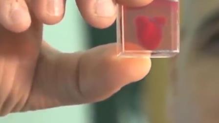 活久见!科学家用3D打印心脏,还称不存在器官排斥问题